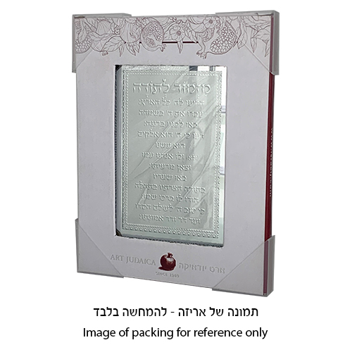 מסגרת נצנצים מזכוכית "קווים" אשר יצר אשכנזי 22x17